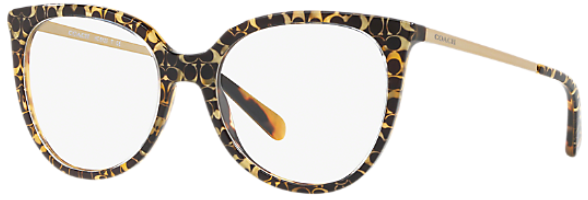 COACH 6125 5509 53 – Sol Specs Optical